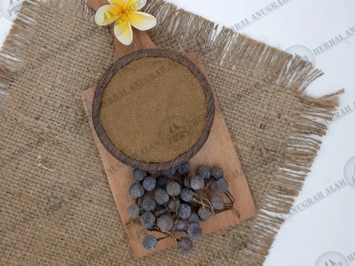 Jual Buah Cepokak - Herbal Anugrah Alam
