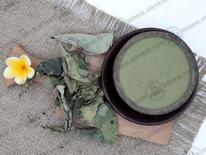 Jual Daun Awar Awar | Ficus Septica - Herbal Anugrah Alam