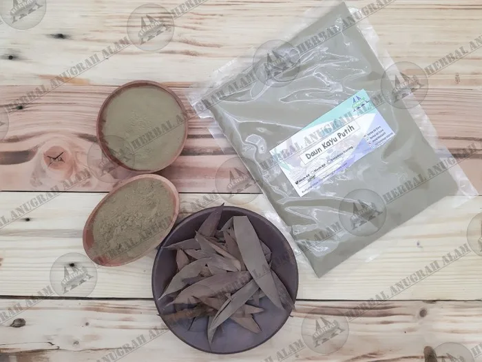 Jual Daun Kayu Putih | Melaleuca Leucadendra - Herbal Anugrah Alam