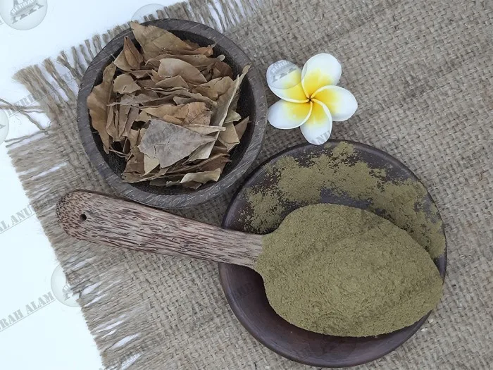 Jual Daun Kemuning | Murraya Paniculata - Herbal Anugrah Alam