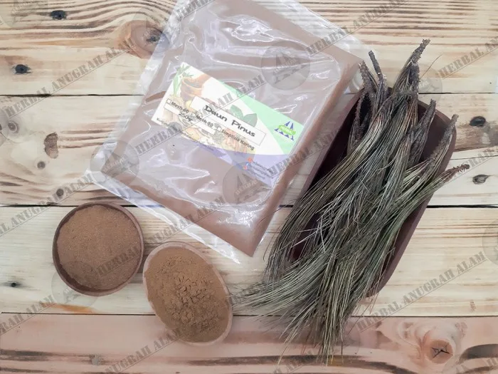 Jual Daun Pinus - Herbal Anugrah Alam