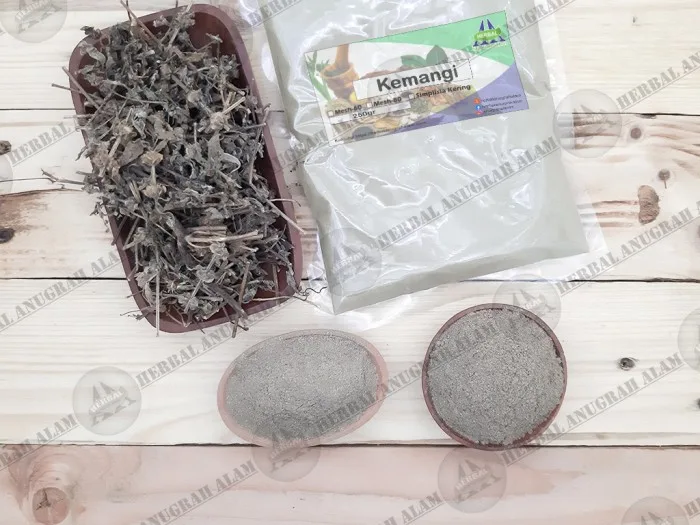 Jual Kemangi | Ocimum Sanctum - Herbal Anugrah Alam