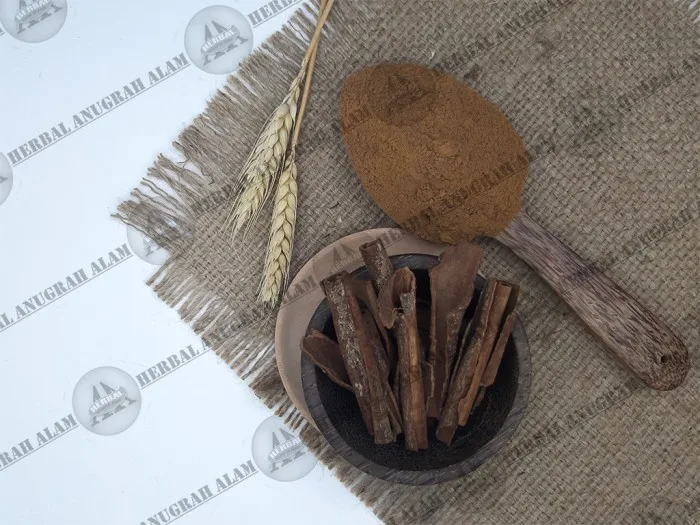 Jual Kayu Manis | Cinnamomum Cassia - Herbal Anugrah Alam