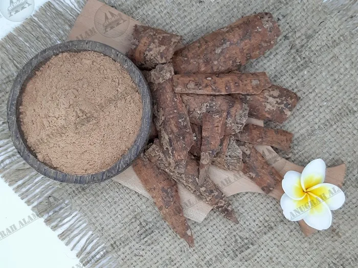Jual Kayu Sintok | Cinnamomum Sintoc Blume - Herbal Anugrah Alam