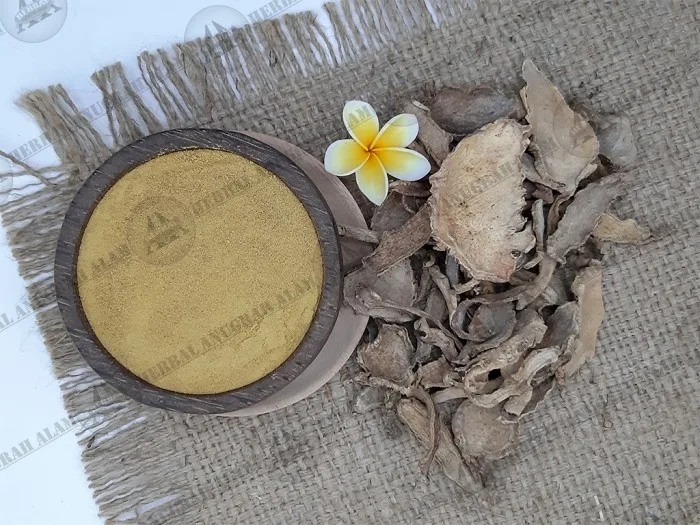 Jual Temu Giring - Herbal Anugrah Alam