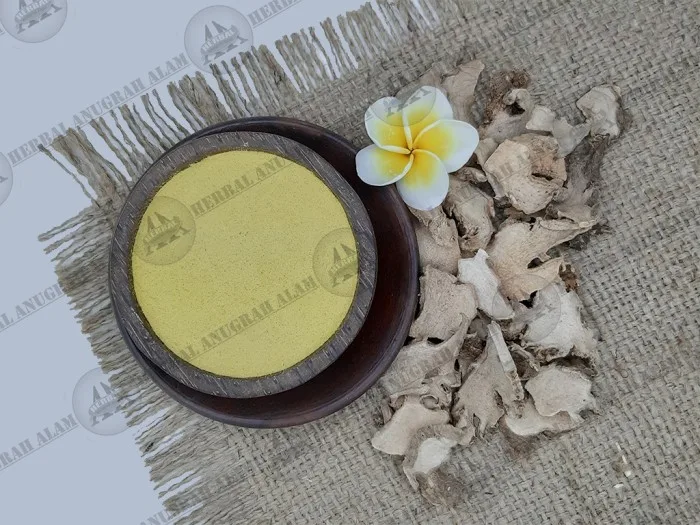 Jual Umbi Bangle | Zingiber purpureum - Herbal Anugrah Alam